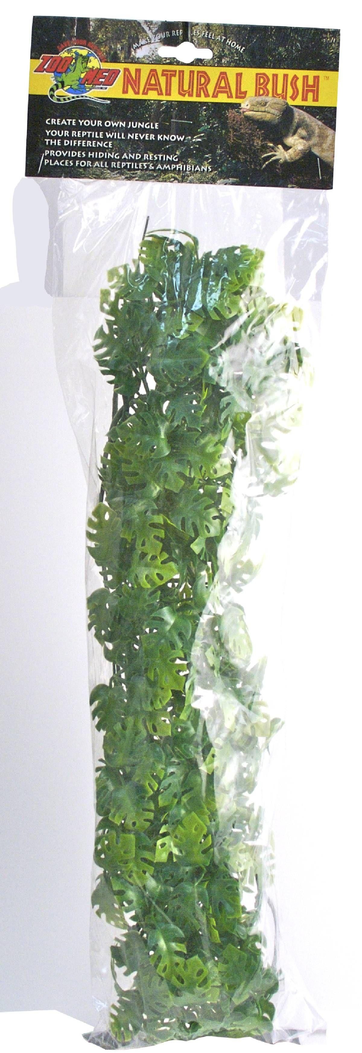 Zoo Med Natural Bush Amazonian Phyllo (Large) by Josh's Frogs for Sale ...