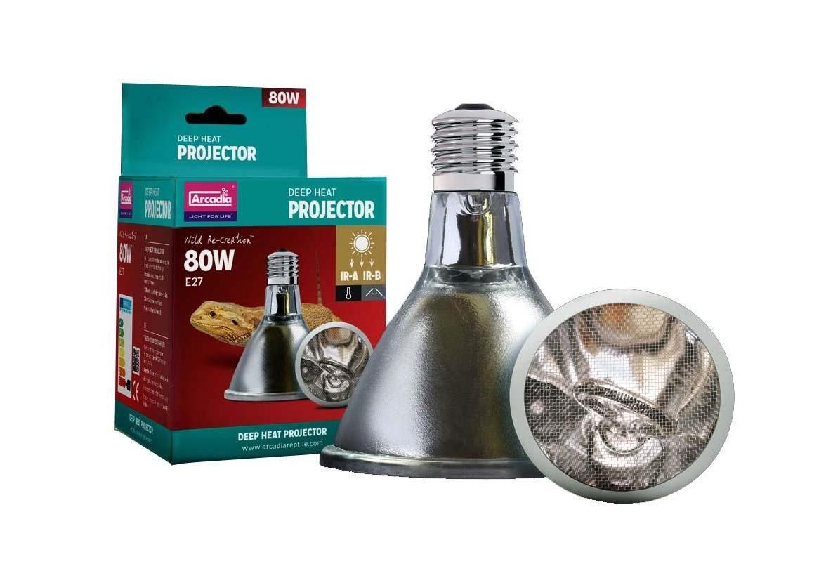 Arcadia Deep Heat Projector (80w) by Josh's Frogs for Sale | HappyDragons