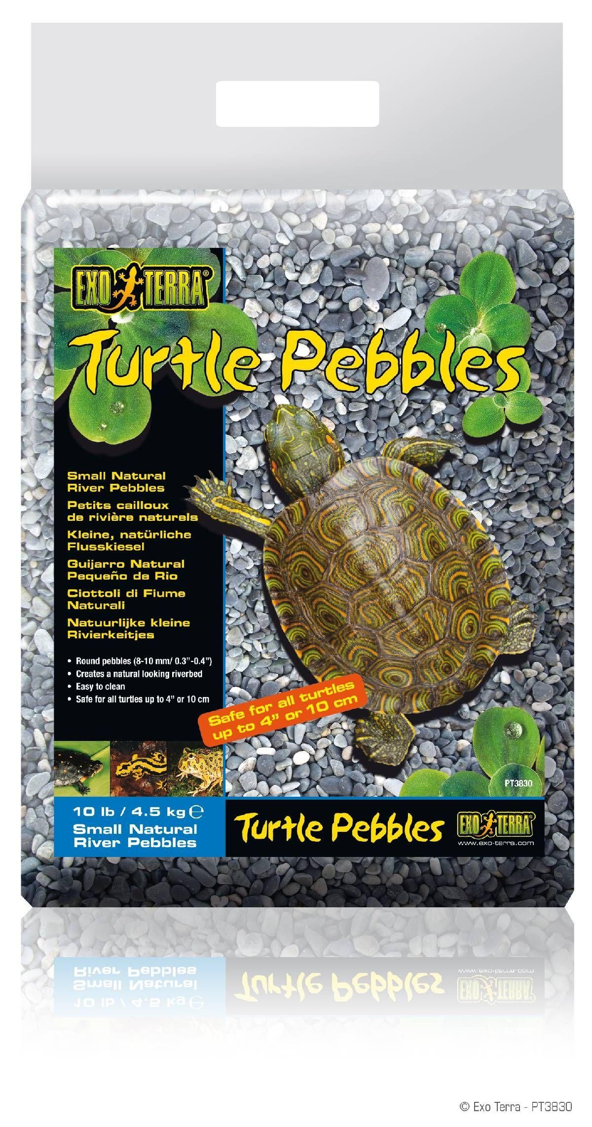 Exo Terra Turtle Pebbles (Small) by Josh's Frogs for Sale | HappyDragons